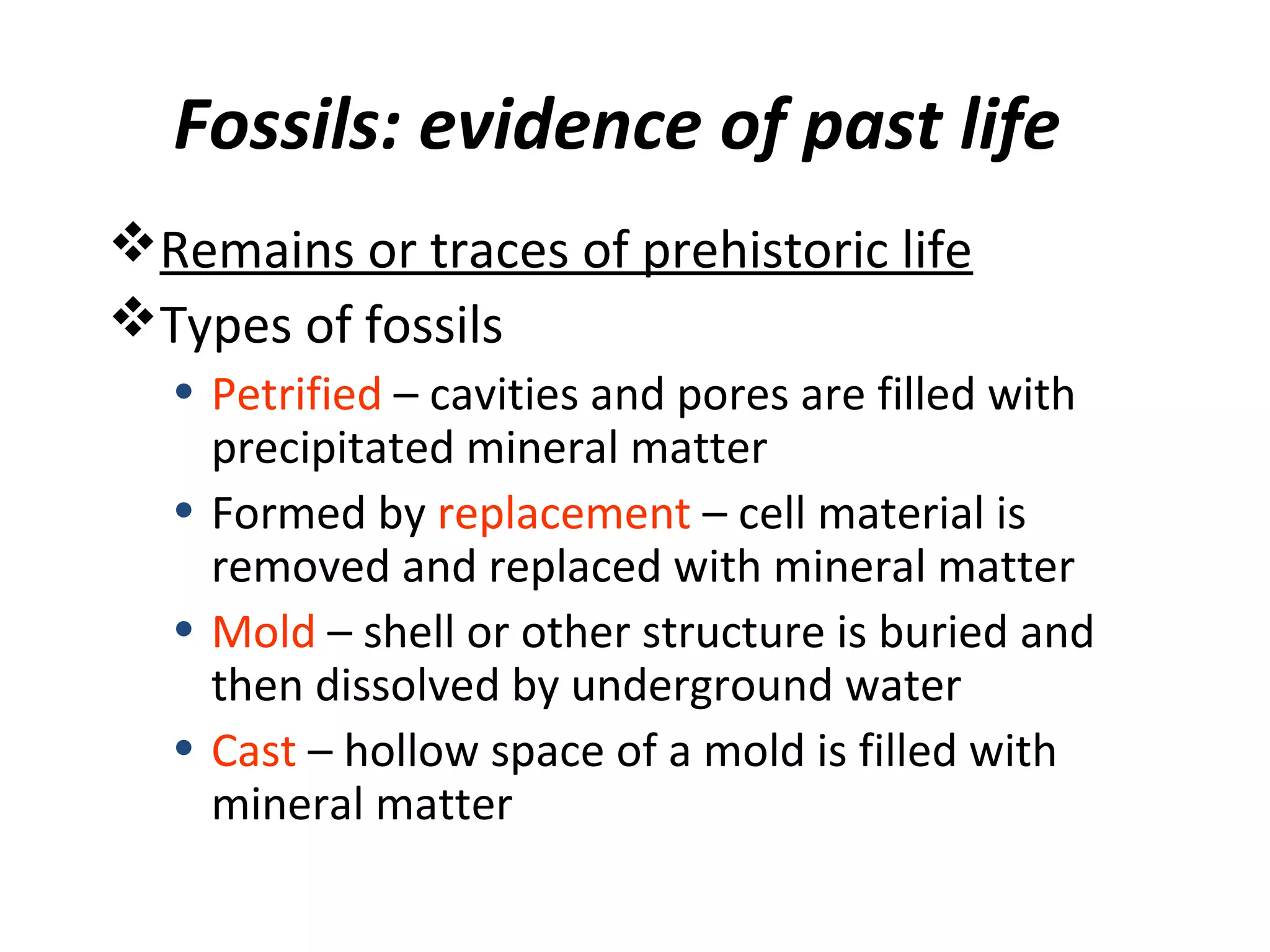 Fossils | PPT