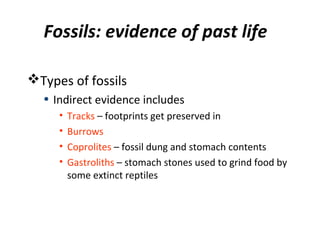 Fossils | PPT