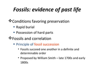 Fossils | PPT | Chemistry | Science