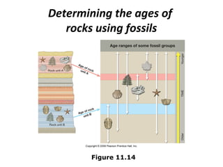 Fossils | PPT