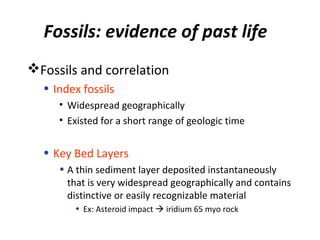 Fossils | PPT