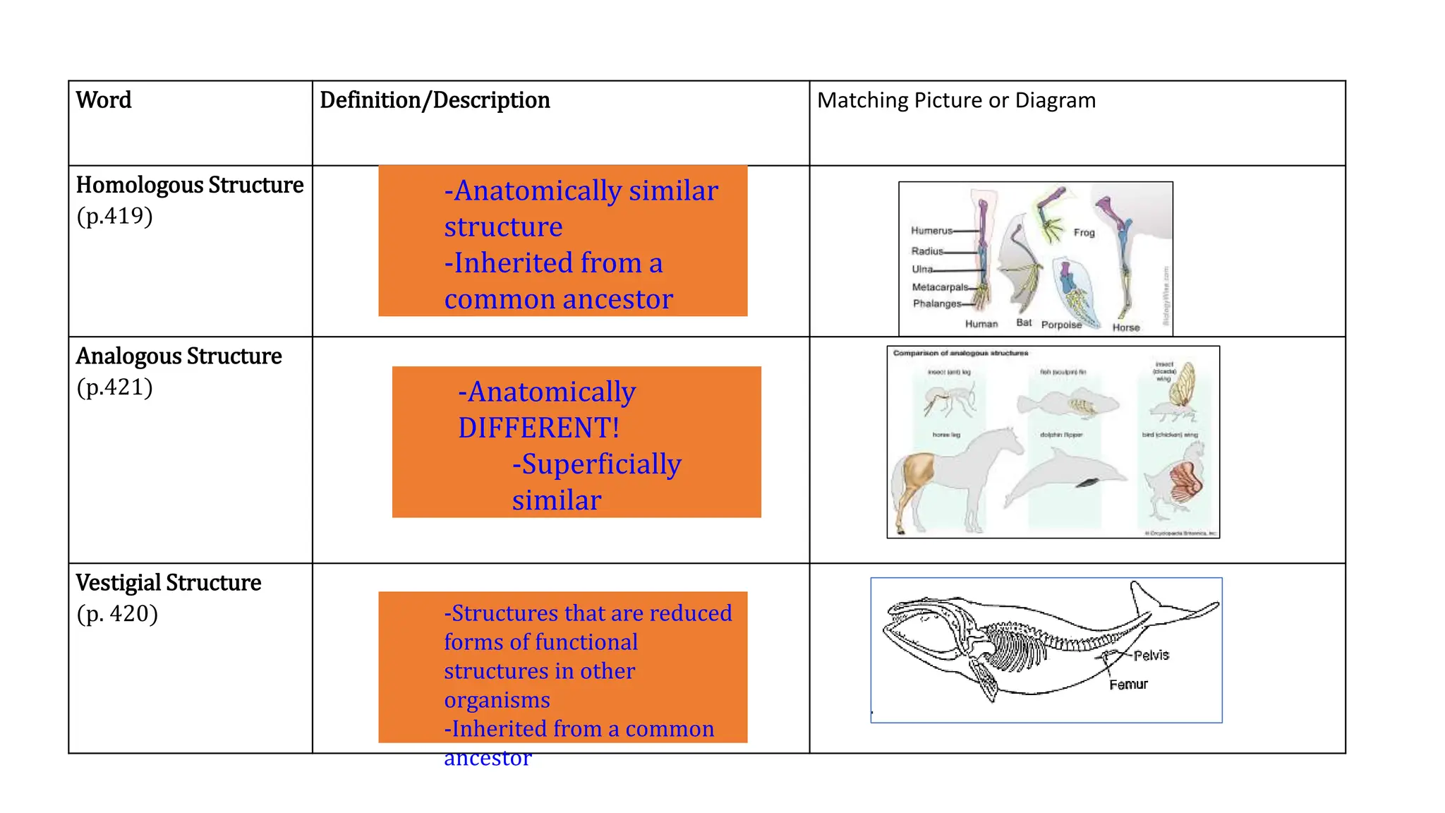 Fossil Record and Comparative Anatomy Cut and sfbdfbdfbdfbcvb.pptx