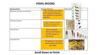 Fossil Record and Comparative Anatomy Cut and sfbdfbdfbdfbcvb.pptx
