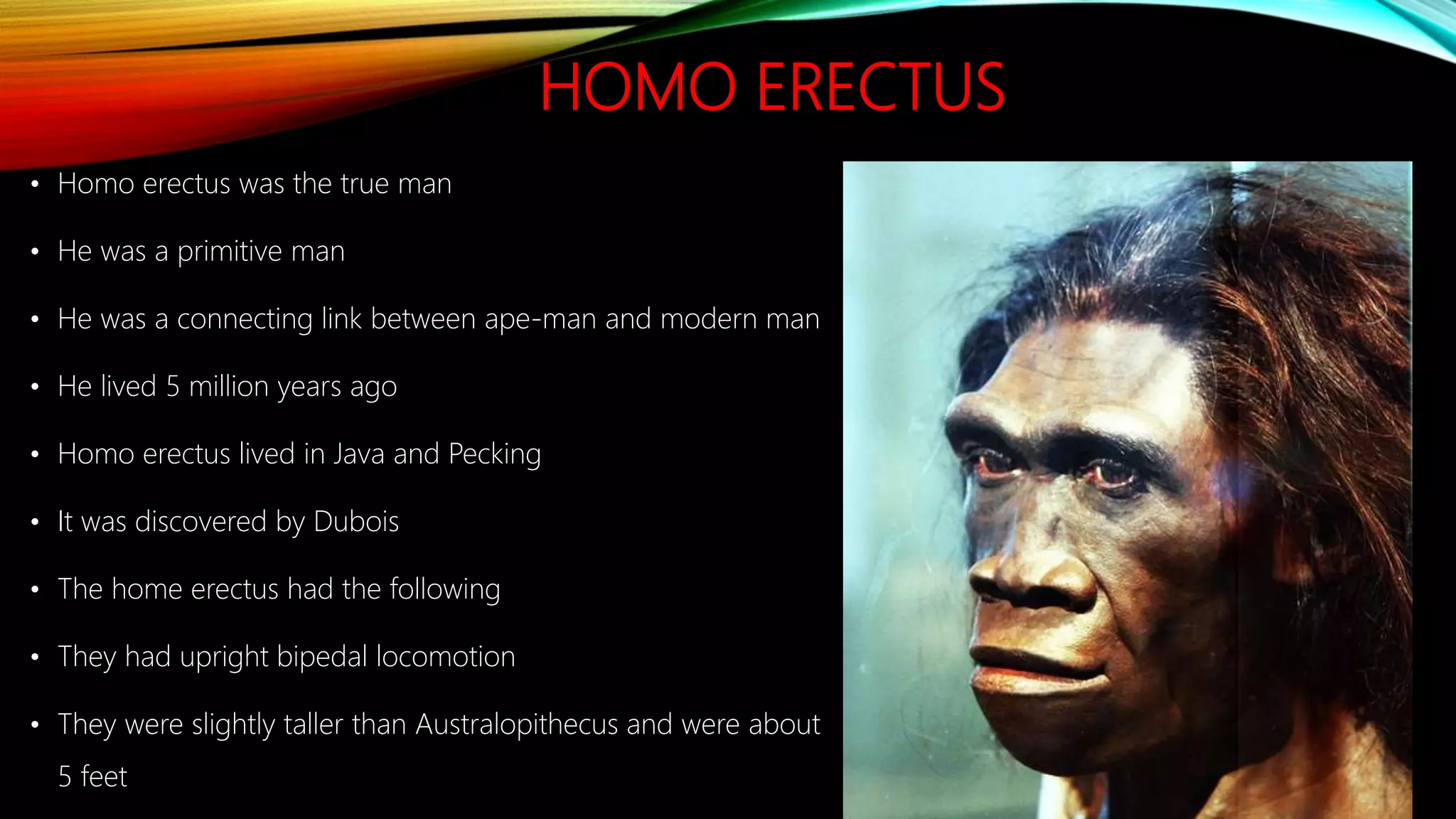 Fossil record of human evolution | PPTX | Geology | Science