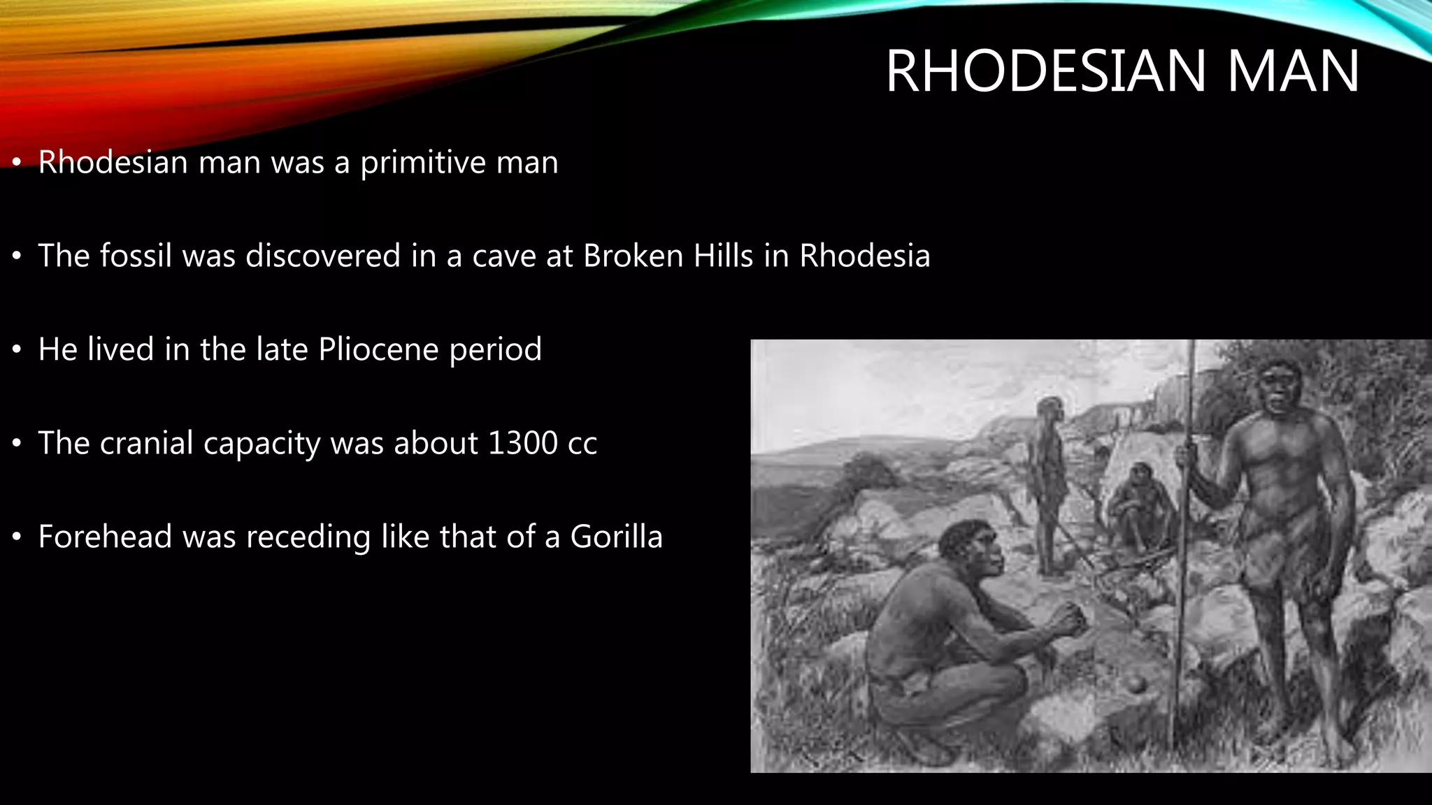 Fossil record of human evolution | PPTX | Geology | Science