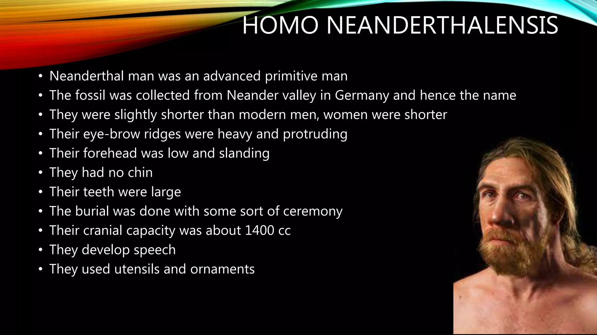 Fossil record of human evolution | PPTX