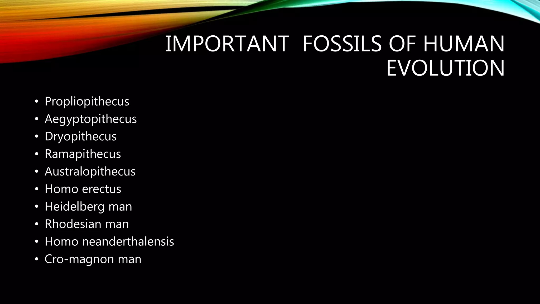 Fossil record of human evolution | PPTX