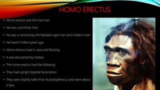 Fossil record of human evolution | PPTX