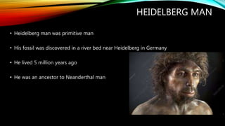 Fossil record of human evolution | PPTX