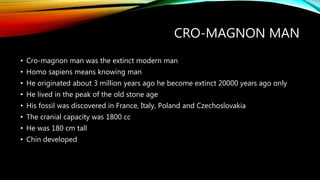 Fossil record of human evolution | PPTX
