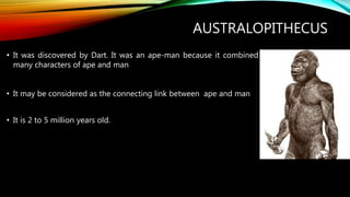Fossil record of human evolution | PPTX
