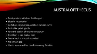 Fossil record of human evolution | PPTX