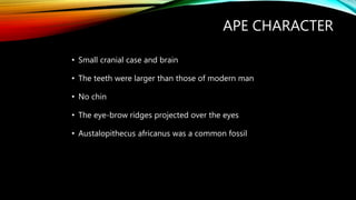 Fossil record of human evolution | PPTX