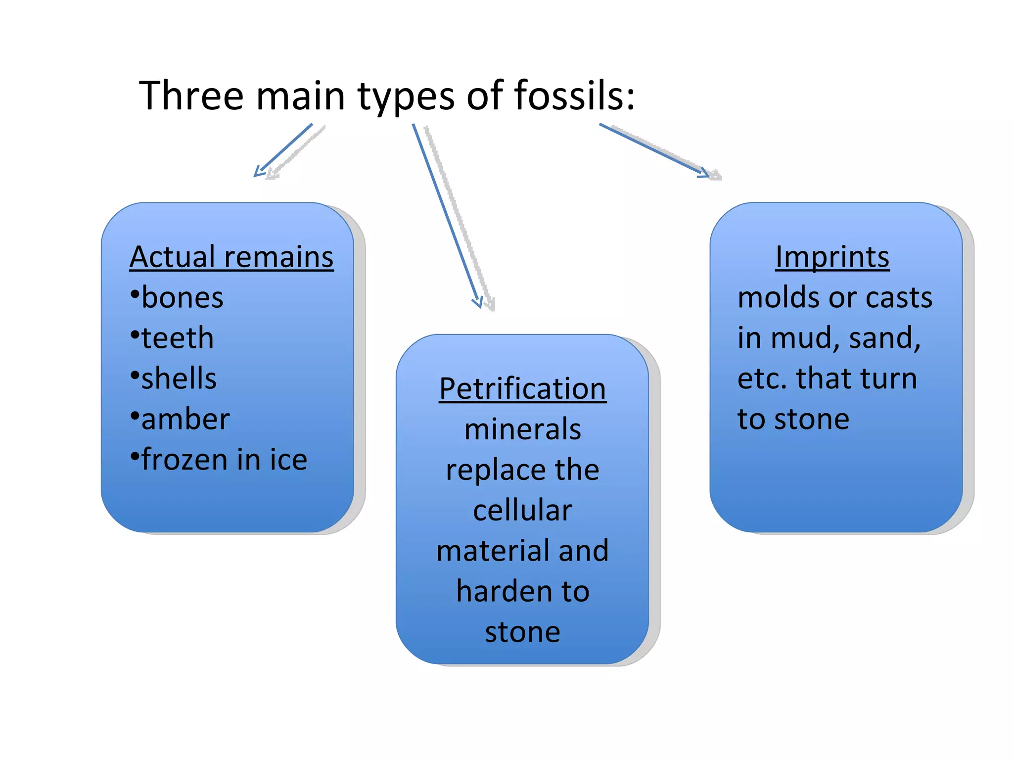 Fossils | PPT