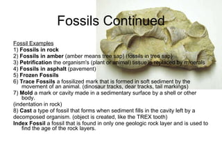 Fossils | PPT