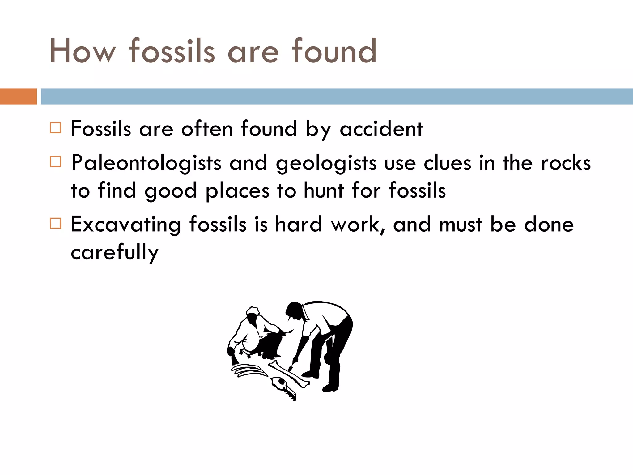 Fossils | PPT