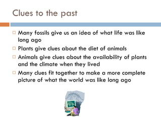Fossils | PPT