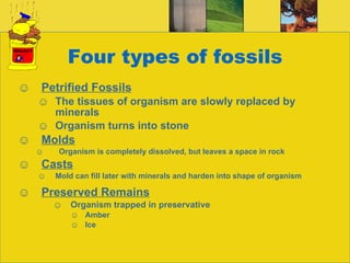 Fossils | PPS