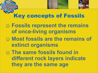 Fossils | PPS