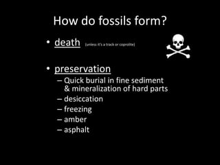 Fossils | PPT