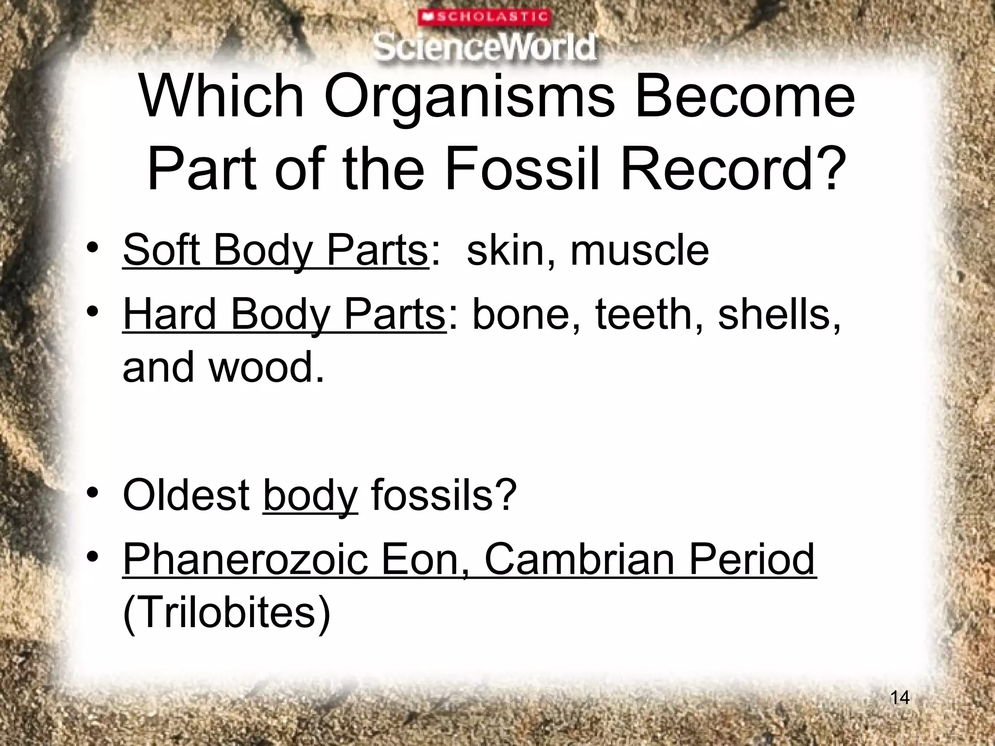 Fossils | PPT