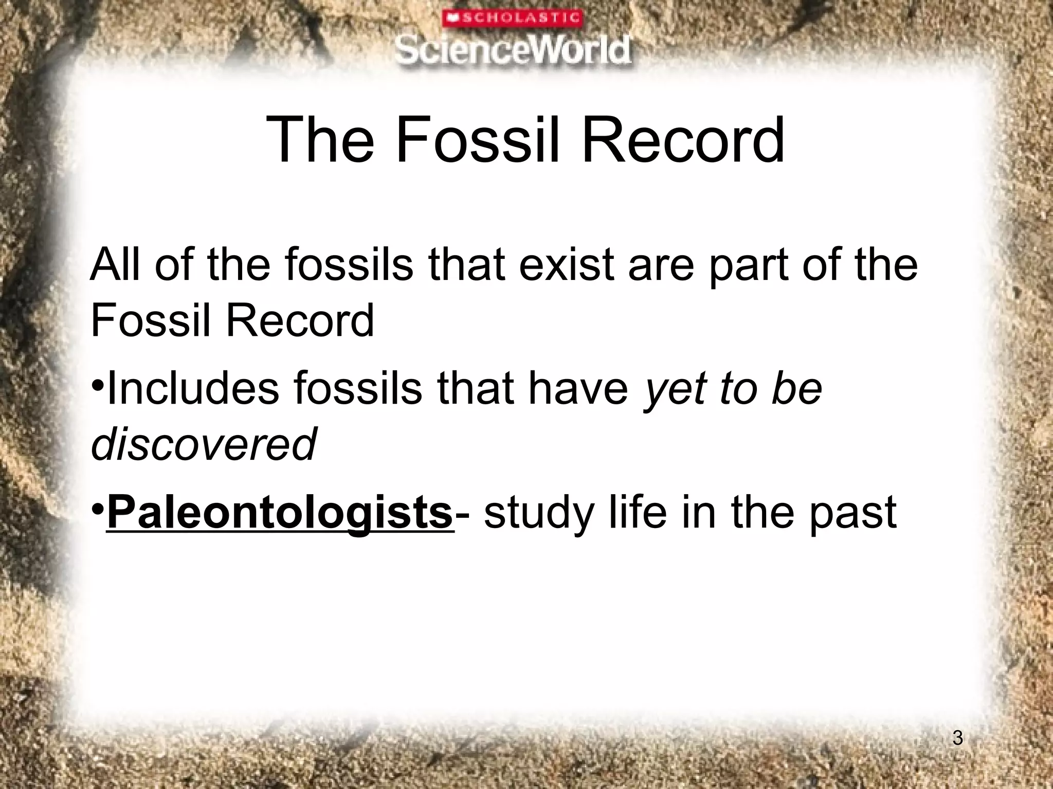 Fossils | PPT