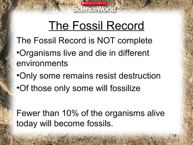 Fossils | PPT | Geology | Science