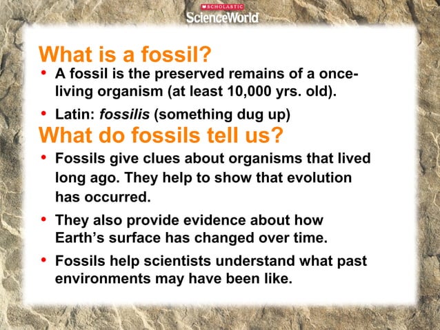 Fossils | PPT | Geology | Science