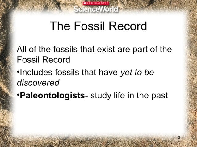Fossils | PPT | Geology | Science