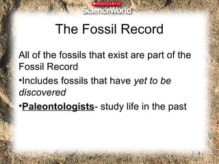 Fossils | PPT | Geology | Science