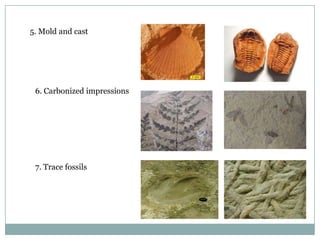 Fossils: Formation and Classification | PPTX