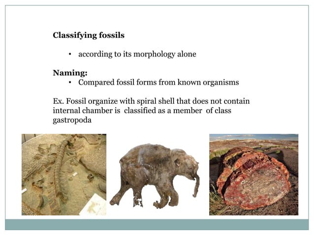 Fossils: Formation and Classification | PPTX
