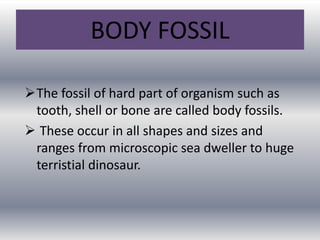 Fossils | PPTX