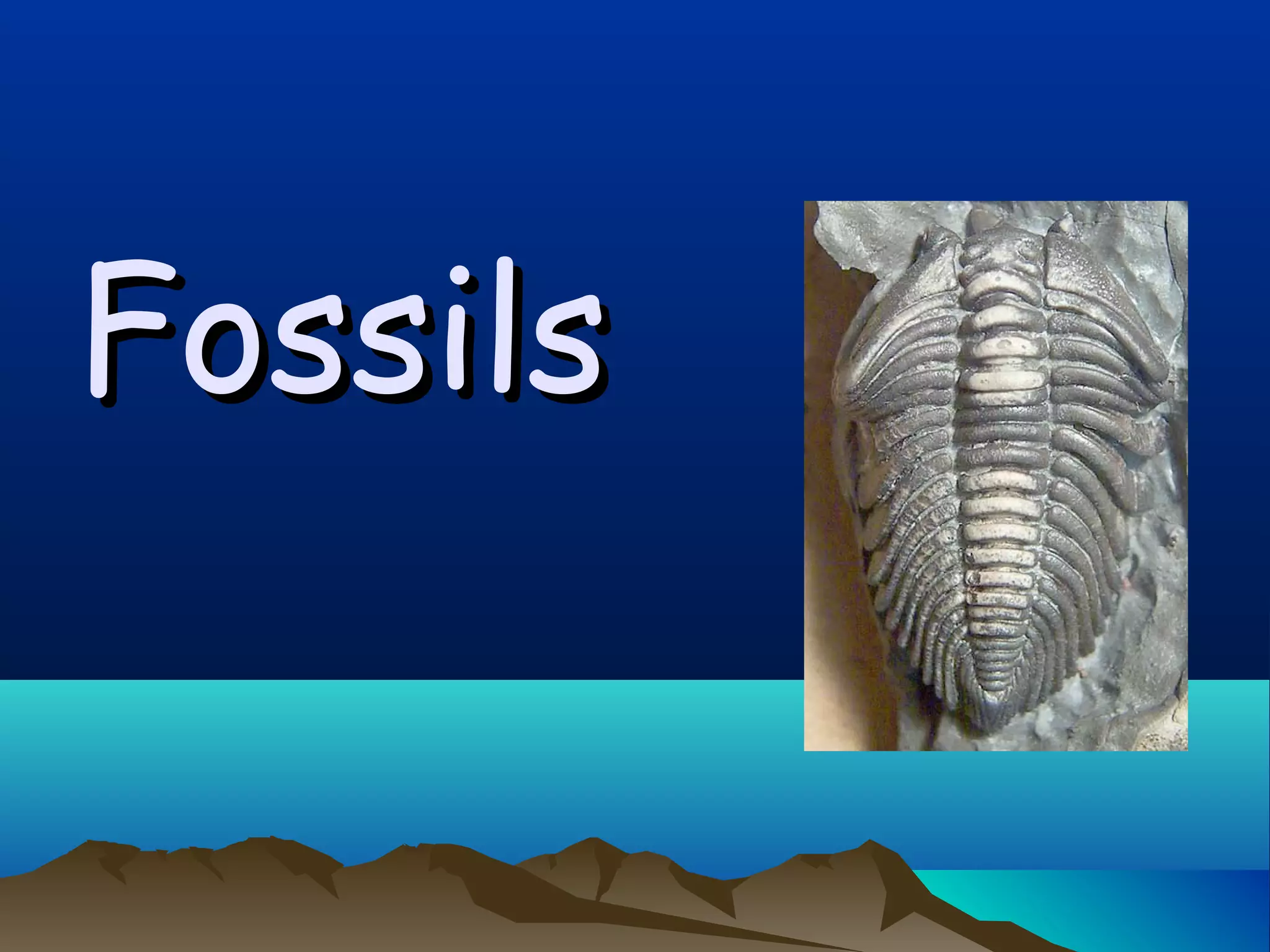 What is a fossil? | PPT