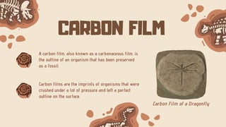 FOSSILS.pptx