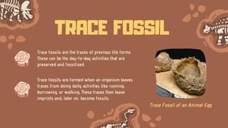FOSSILS.pptx