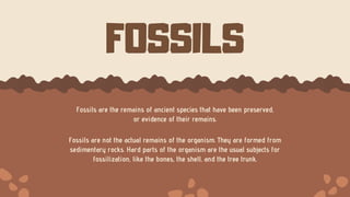 FOSSILS.pptx