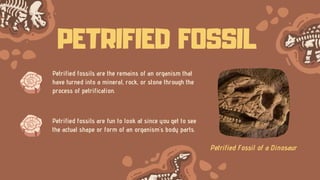 FOSSILS.pptx
