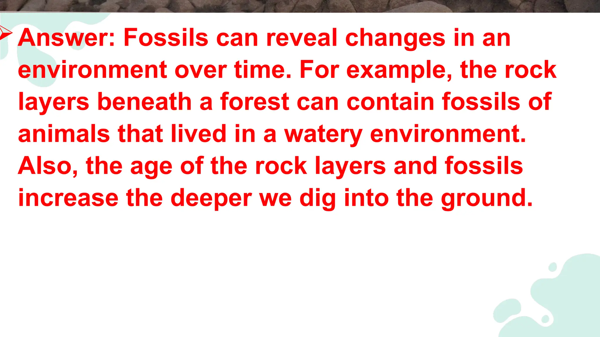 Power point_Presentation _about_Fossils.ppt