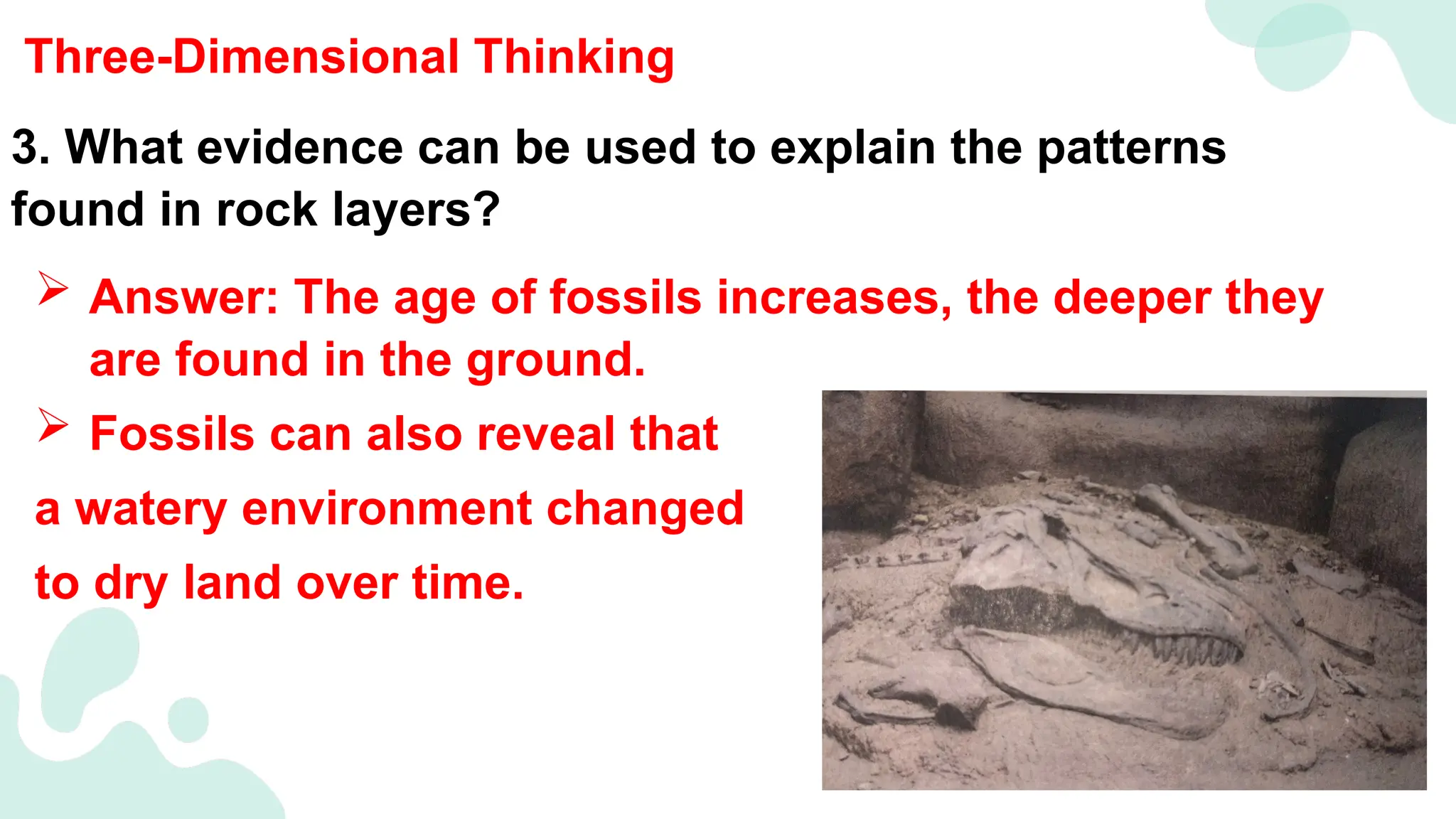 Power point_Presentation _about_Fossils.ppt