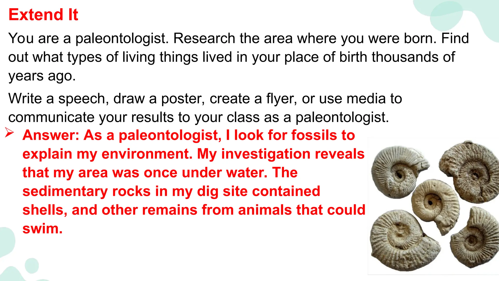 Power point_Presentation _about_Fossils.ppt