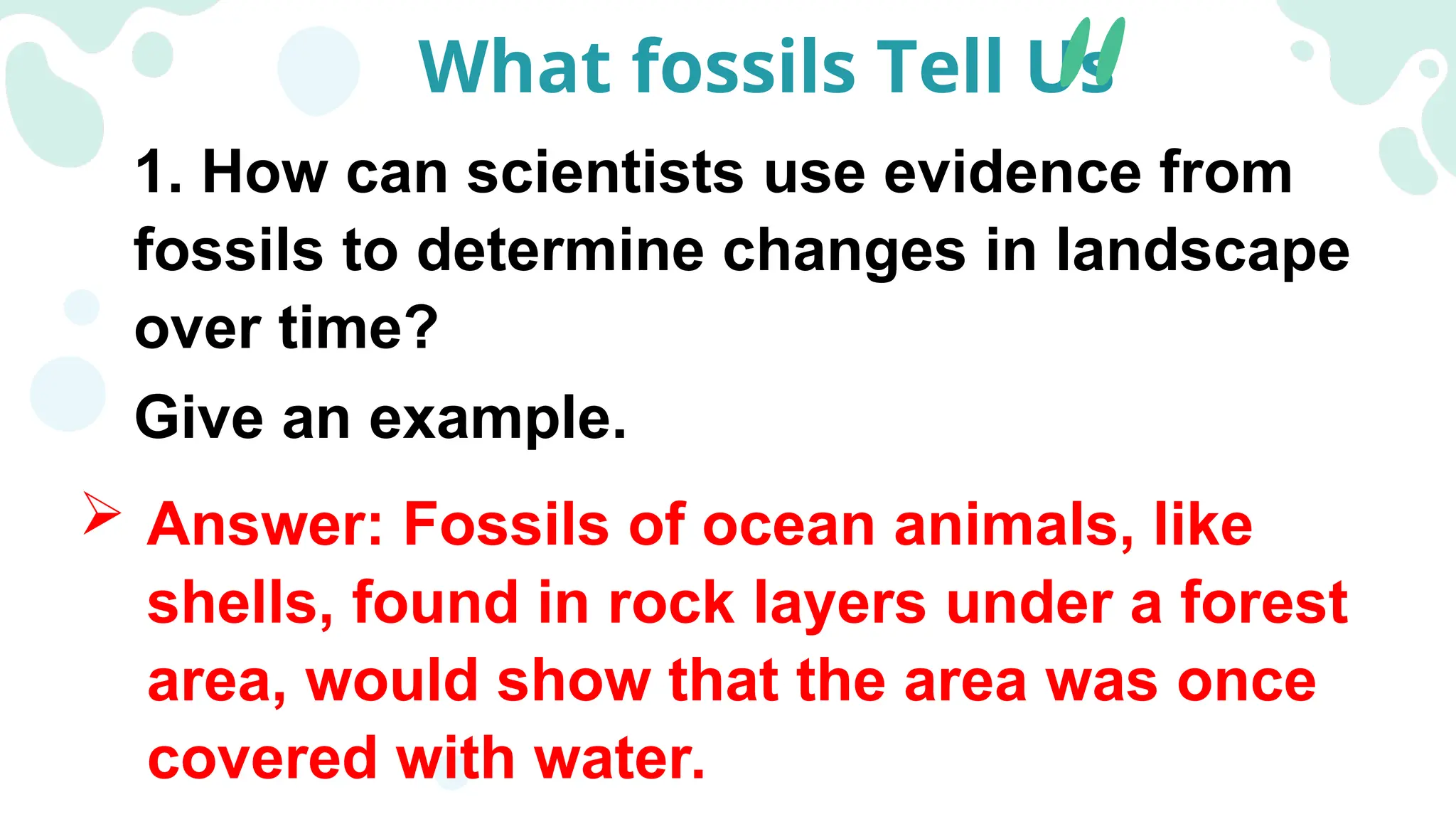 Power point_Presentation _about_Fossils.ppt