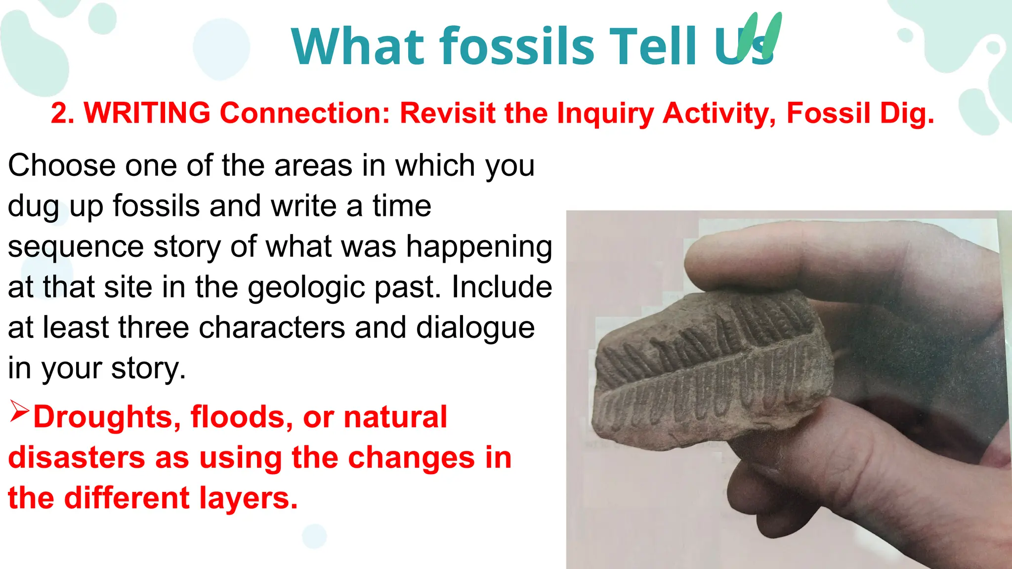 Power point_Presentation _about_Fossils.ppt