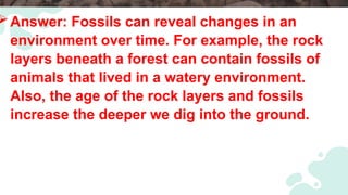 Power point_Presentation _about_Fossils.ppt