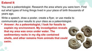 Power point_Presentation _about_Fossils.ppt