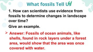 Power point_Presentation _about_Fossils.ppt