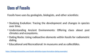 Fossils-types of fossils and fossilization | PPTX