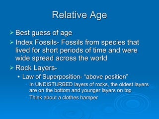 Fossils Lecture | PPT