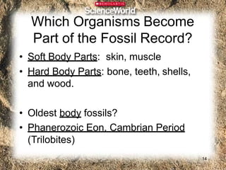 Types of Fossils | PPSX