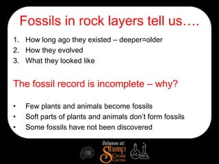 Fossils workshop slides | PPT